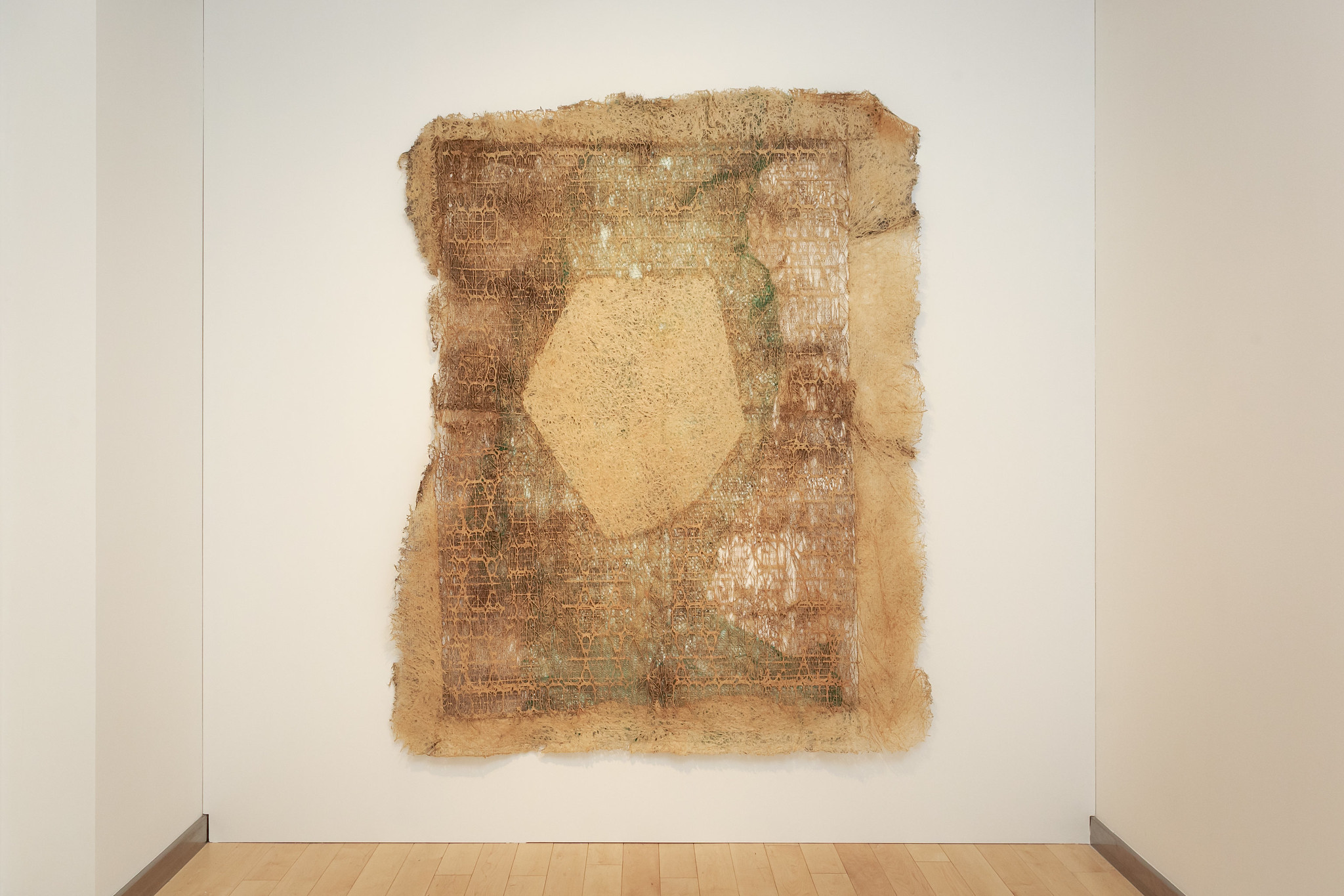 Diana Scherer – ECODATA